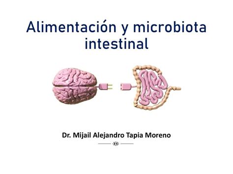 Alimentación y microbiota Dr Mijail Tapia Moreno uDocz