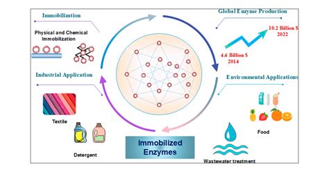 Enzyme Immobilization Technologies And Industrial Applications ACS Omega