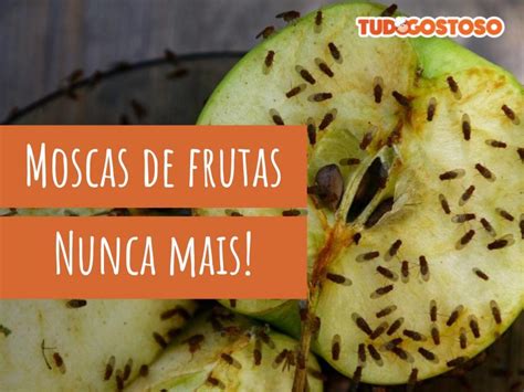 Elimine Os Mosquitinhos De Fruta Da Cozinha Apenas Dois