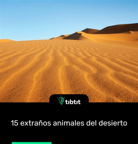 Sabías que 15 extraños animales del desierto Curiosidades Datos