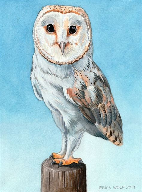 Barn Owl Print Owl Print Art Print Of Original Watercolor Etsy Barn