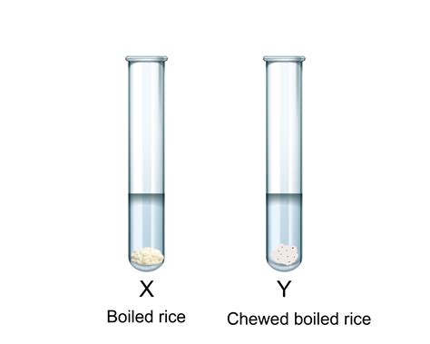 Does Iodine Dropped On Starch Turn Blue Cheap Sale
