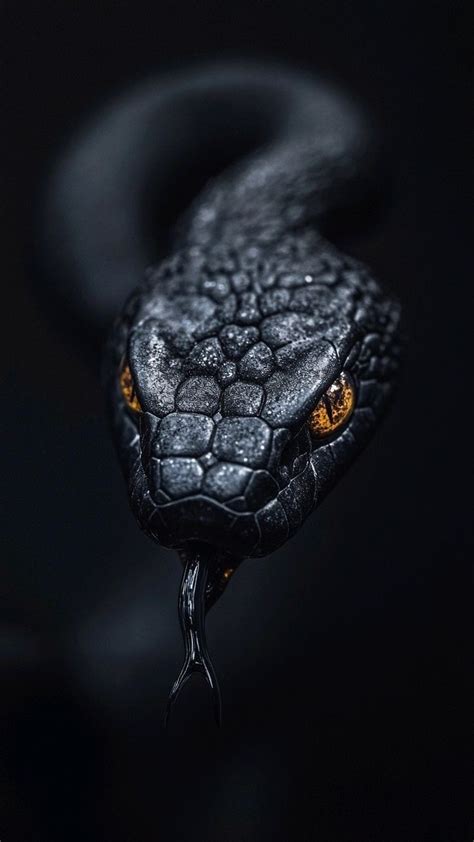 Pin By Jennifer Warfield On Reptile Lo Er S In 2024 Snake Wallpaper
