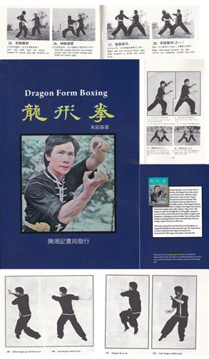 Southern Dragon Kung Fu