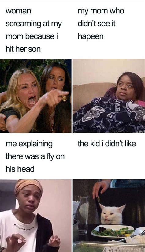 Me Explaining To My Mom Meme Template