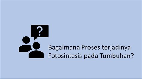 Bagaimana Terjadinya Proses Fotosintesis Pada Tumbuhan Homecare