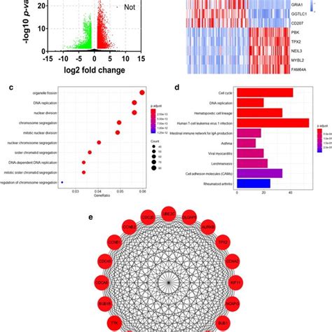 Identification And Functional Analysis Of Differential Mrnas Between