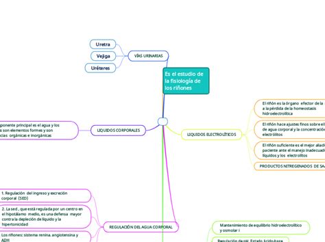 Fisiología Renal Mind Map