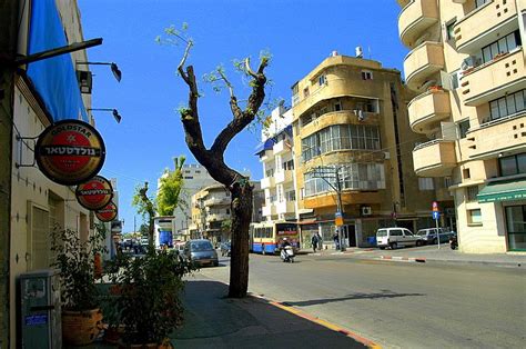 Naked Tree Uncategorized Photo Net