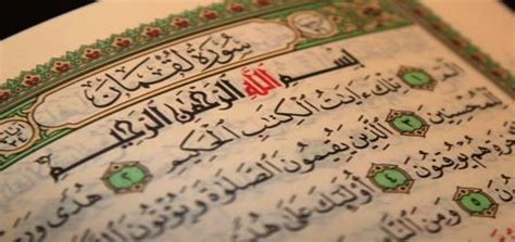 Detail Surat Al Luqman Ayat 14 Latin Dan Artinya Koleksi Nomer 31