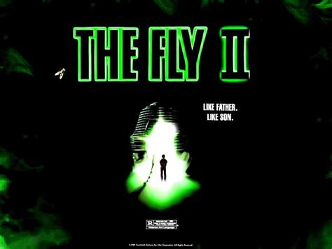 The Fly Metal Bridges