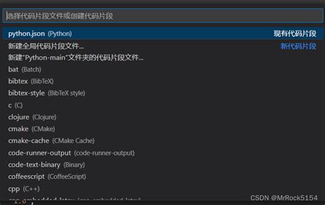 vs code建立python代码模板 vscode python 模板 csdn博客