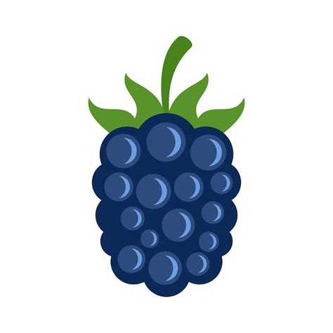 Premium Vector Garden Blackberry Icon Flat Illustration Of Garden