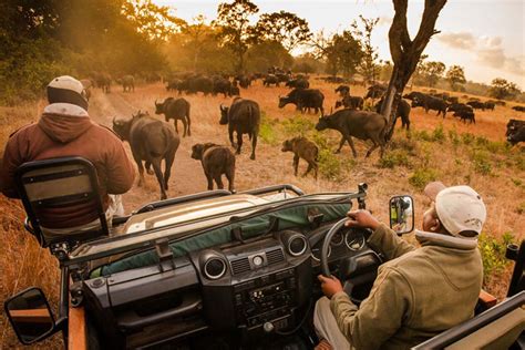 3 Days Ol Pejeta Luxury Safari Ongeri Expeditions
