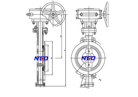 Everything You Need To Know About Tripple Offset Butterfly Valve NTGD