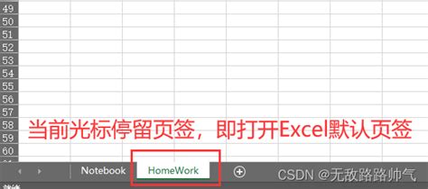 python零基础速成班 第14讲 python处理excel和word，使用openpyxl和docx包详解，图表入门 openpyxl增加页签 csdn博客