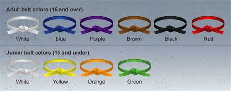 Brazilian Jiu Jitsu Belts System Explained Bjj World