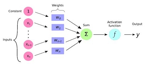 The Perceptron Model Download Scientific Diagram