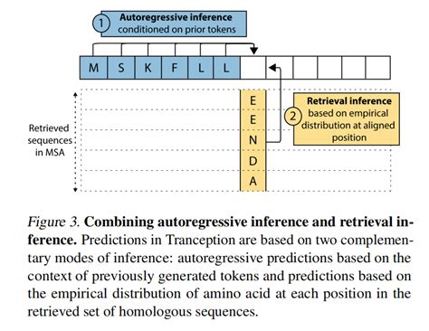Icml Tranceptionprotein Fitness Prediction With Autoregressive