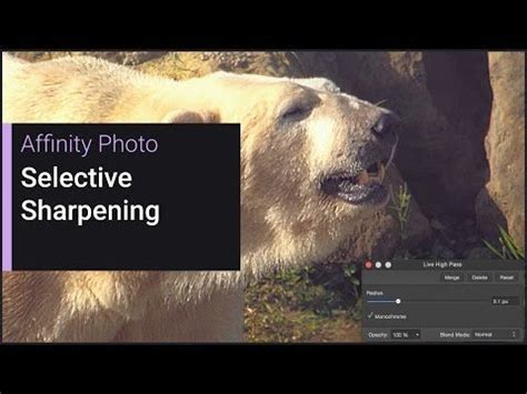 Affinity Photo Tutorial For Beginners 102 What Is A Layer Artofit