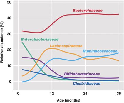 Biol Microbial Symbiosis With Humans Flashcards Quizlet