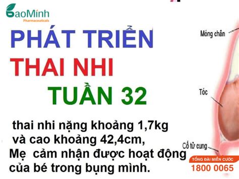 Các mốc khám thai quan trọng trong thai kỳ mẹ bầu cần biết
