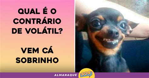 Aprender sobre 39 imagem fotos engraçadas e piadas br thptnganamst
