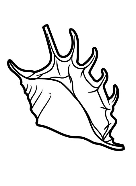 20 páginas para colorir de conchas ColoringPagesOnly