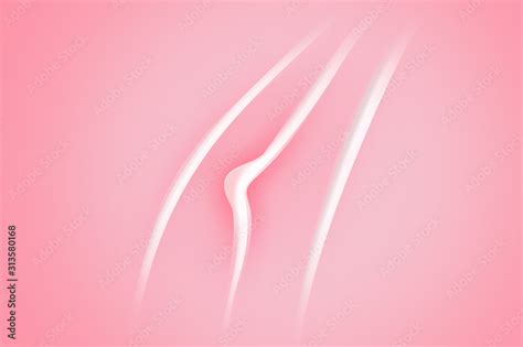 Female Reproductive System And Clitoris Anatomical Structure Of The