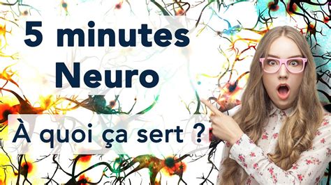 1 Le système nerveux à quoi sert il intro 1 YouTube
