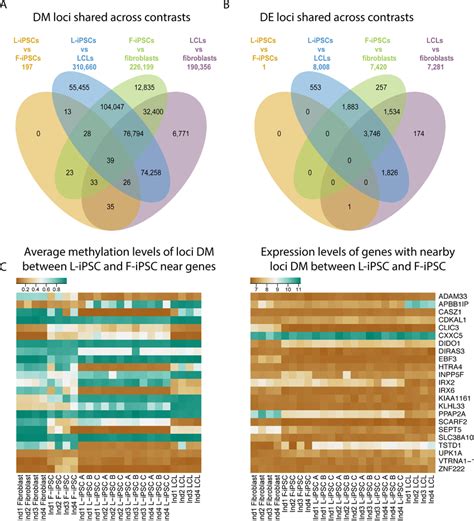 Differential Methylation And Gene Expression Between The Four Cell