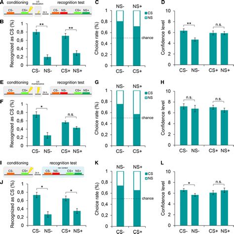 the role of stimulus embedded valence and learning context in driving download scientific