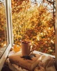 Pc Cozy Autumn Aesthetic Wallpaper Wallpaper Sun