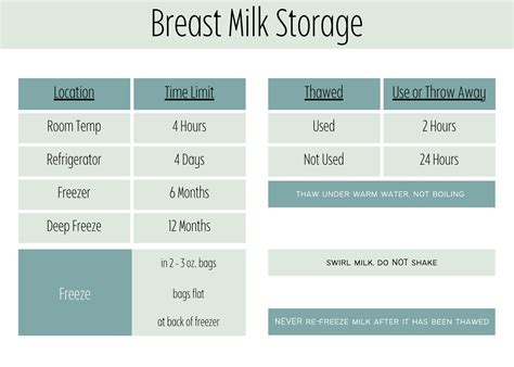 How To Store Freeze Thaw Breastmilk Mamava Atelier Yuwa Ciao Jp