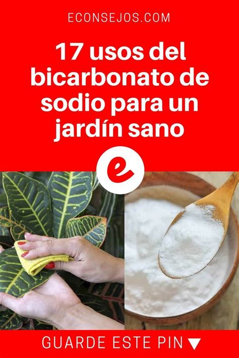 Usos Del Bicarbonato De Sodio Para Un Jard N Sano Abonos Para