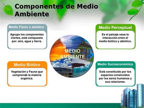 Descubre la composición del medio ambiente Elementos que lo conforman