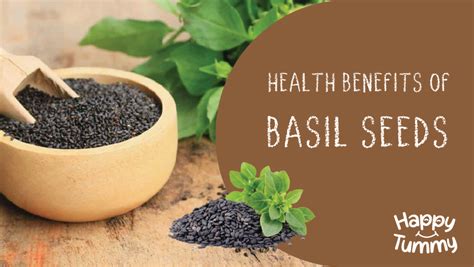 Sabja Basil Seeds Incredible Health Benefits Uses Recipes And Side