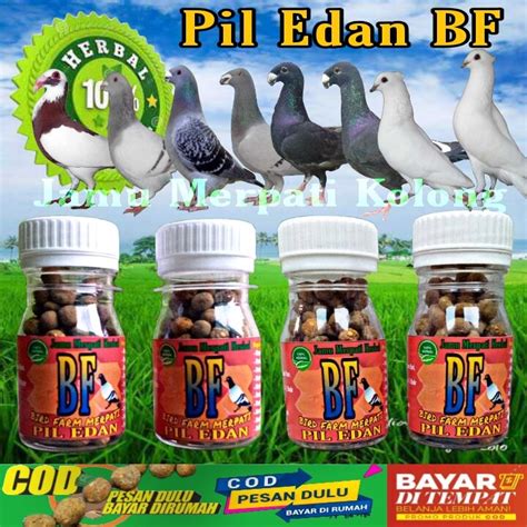 JAMU PIL EDAN BF Isi 50 Butir PIL SARANG WALET ISI 50 Butir Pil SARANG