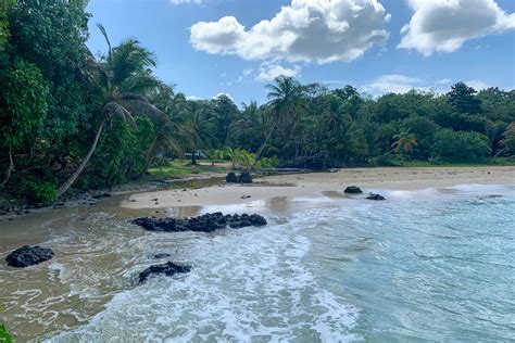 Amazing Things To Do In Bocas Del Toro Panama