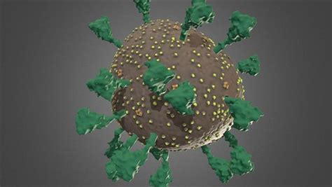 What the Coronavirus Really Looks Like Newsroom Universität Hamburg