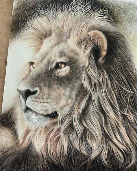 Learn How To Draw An Iconic Lion With Pencils