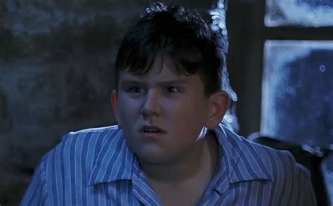 He Played Dudley Dursley In Harry Potter See Harry Melling Now At 33