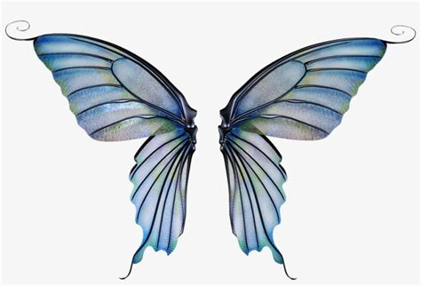 Realistic Fairy Wings Png