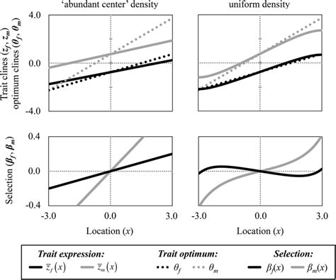 equilibrium trait clines and patterns of sex specific selection download scientific diagram