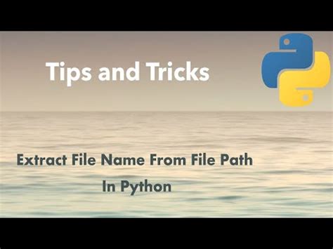 Understanding The Python Path A Comprehensive Guide