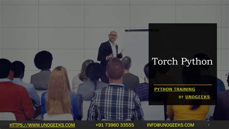 torch python