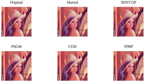 symmetry free full text a scaled dai yuan projection based conjugate gradient method for