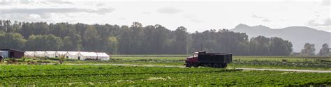 Skagit Farmers Supply Welcome To Skagit Farmers Supply
