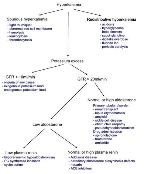 Doctors Gates Algorithm For The Diagnosis Of Hyperkalemia