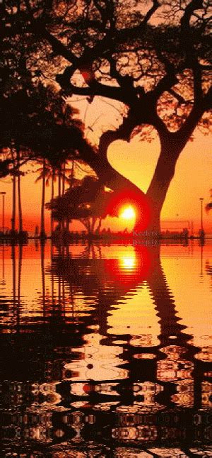 Landscape Water Reflection Animation Water Reflections Animated